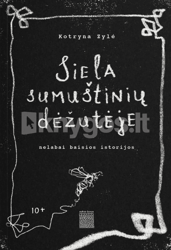 Siela sumuštinių dėžutėje. Nelabai baisios istorijos